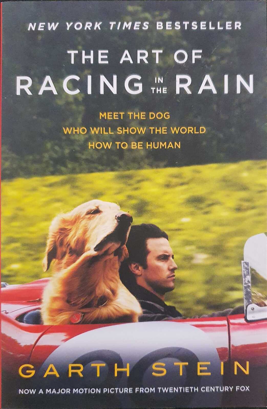 The Art Of Racing In The Rain