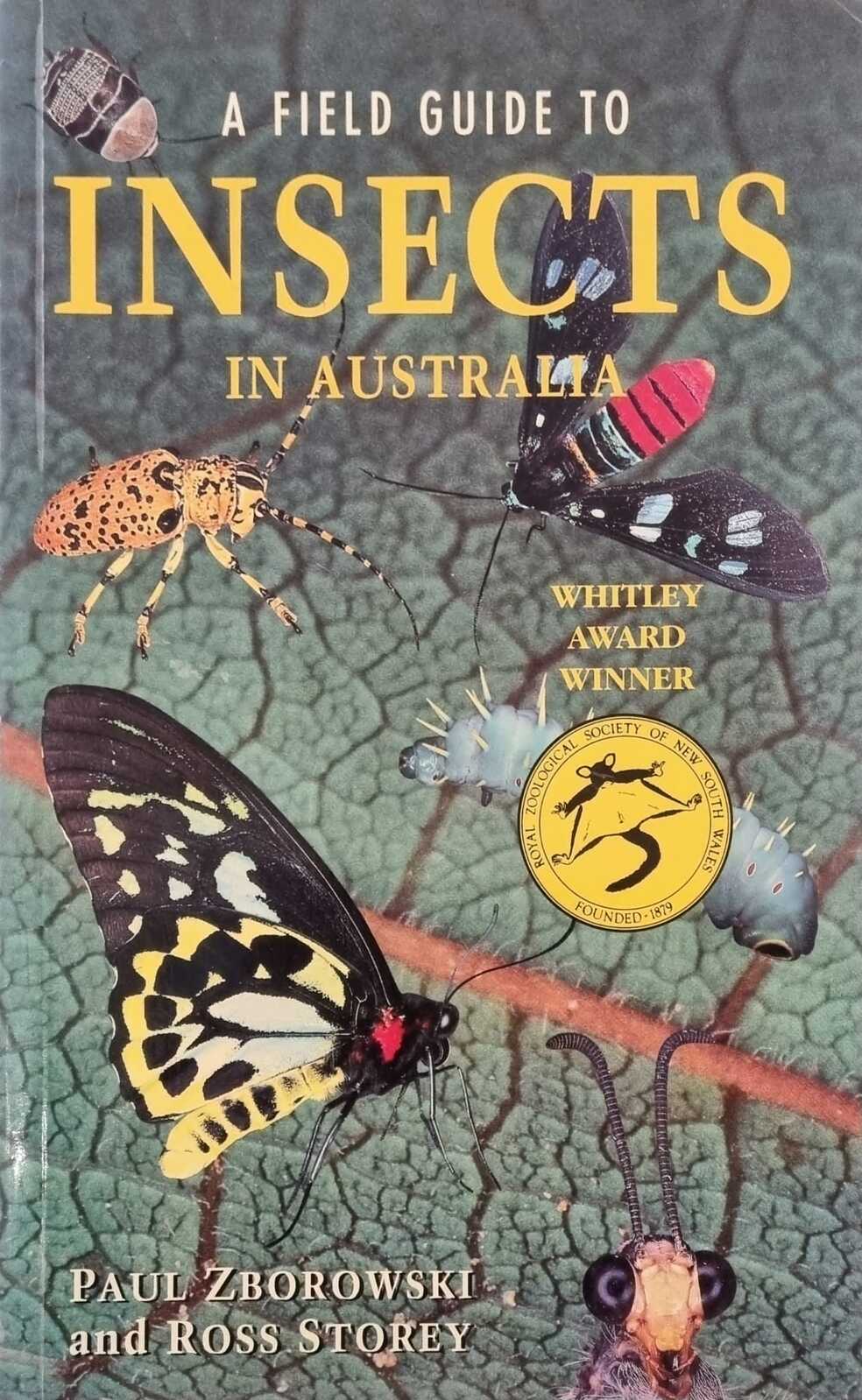 A Field Guide to Insects in Australia