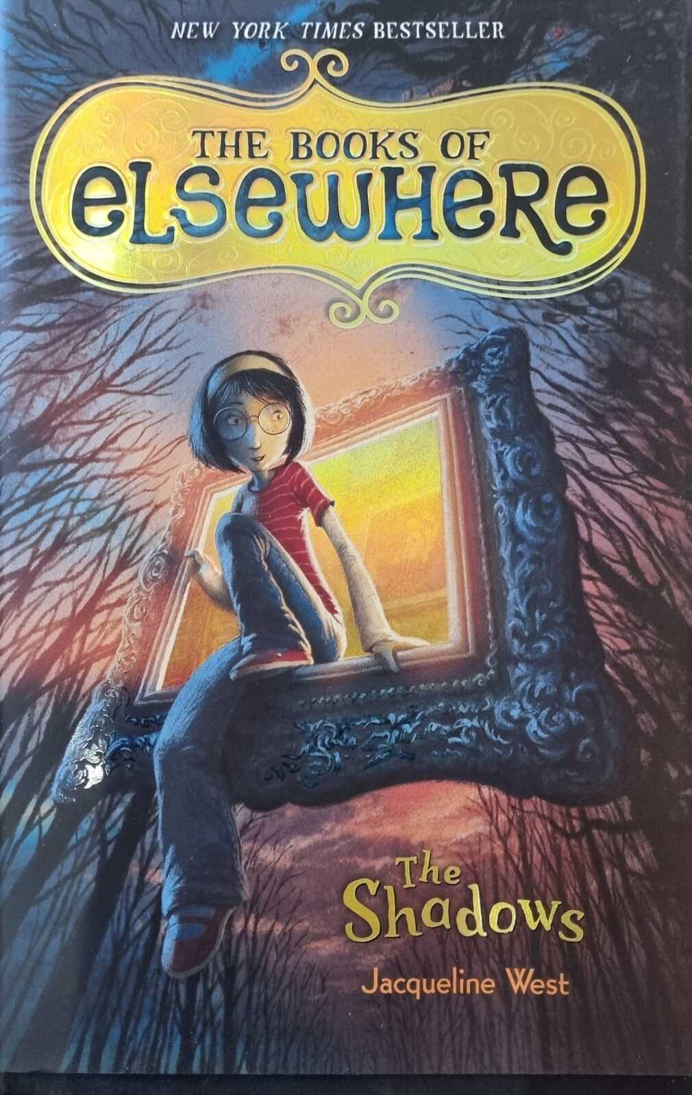 The Shadows :The Book Of Elsewhere book 1