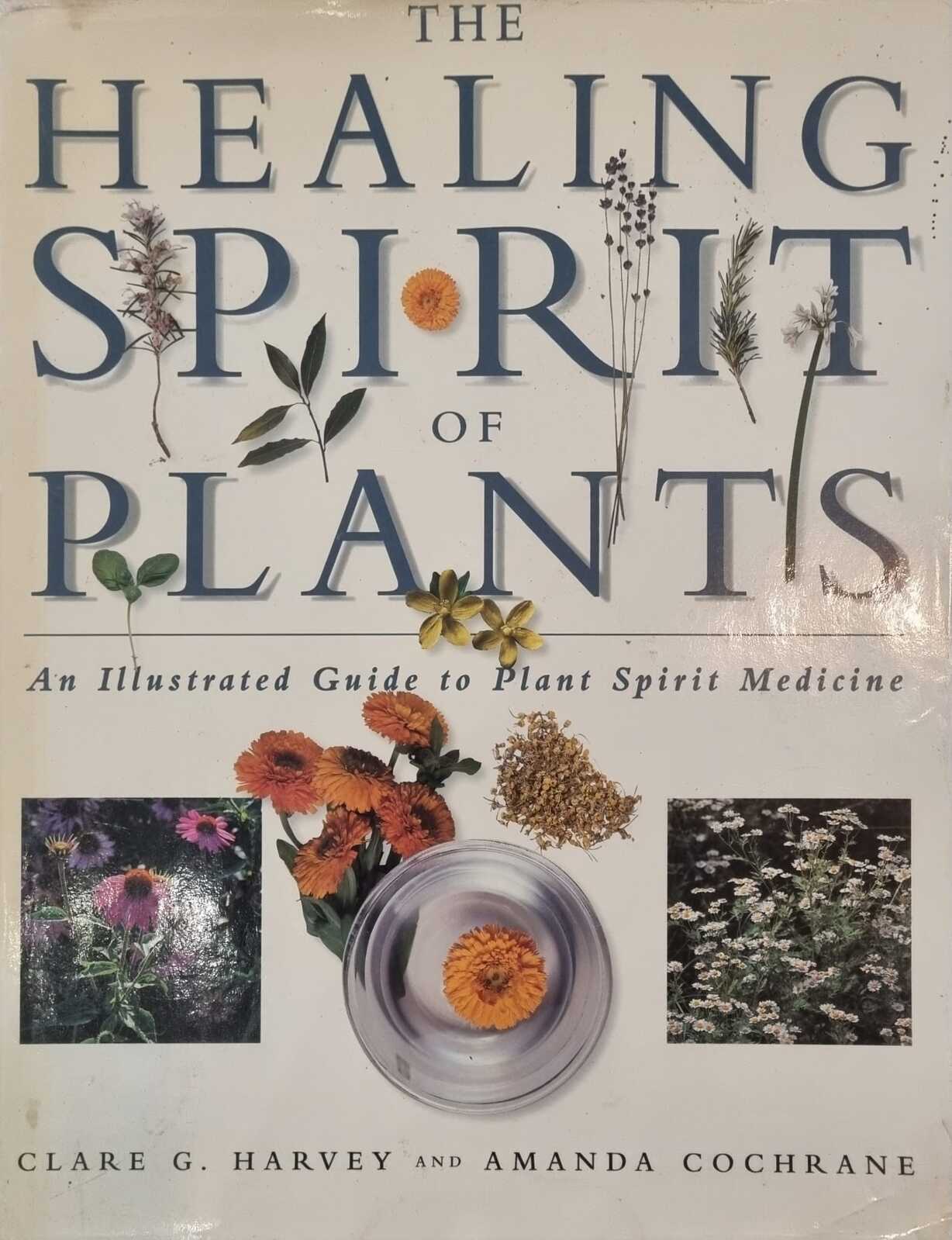 The Healing Spirit of Plants An Illustrated Guide to Plant and Spirit ...