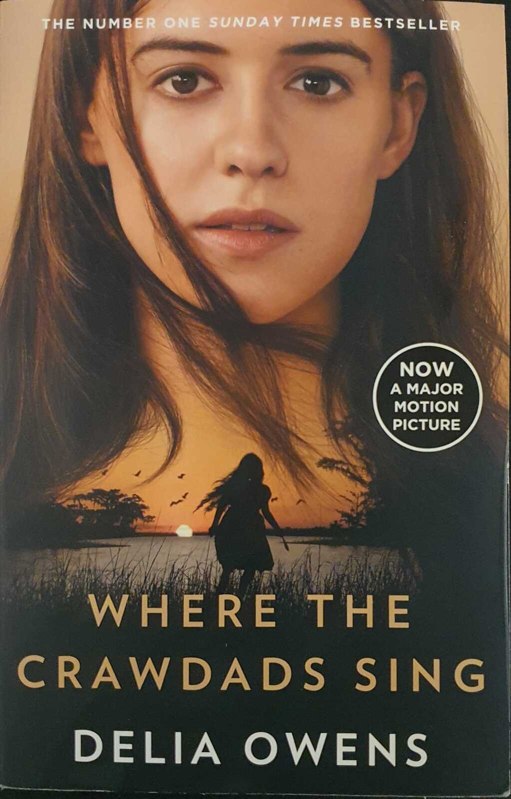 Where the Crawdads Sing