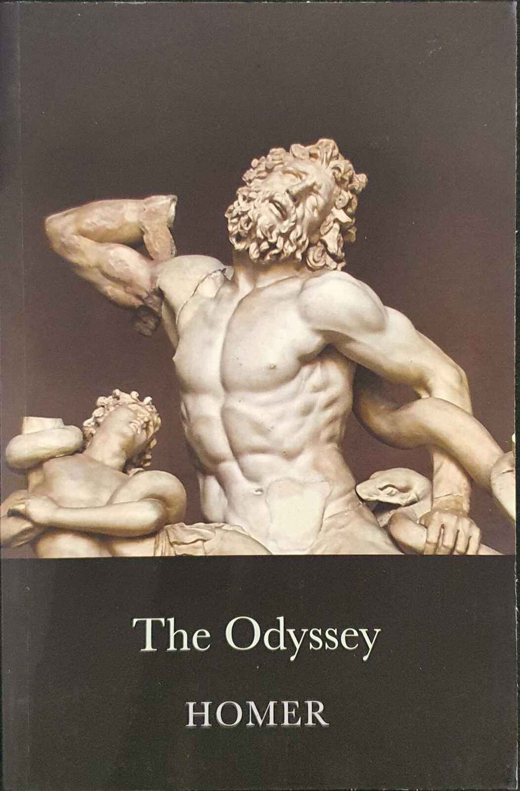 The Odyssey Homer 9789390213320