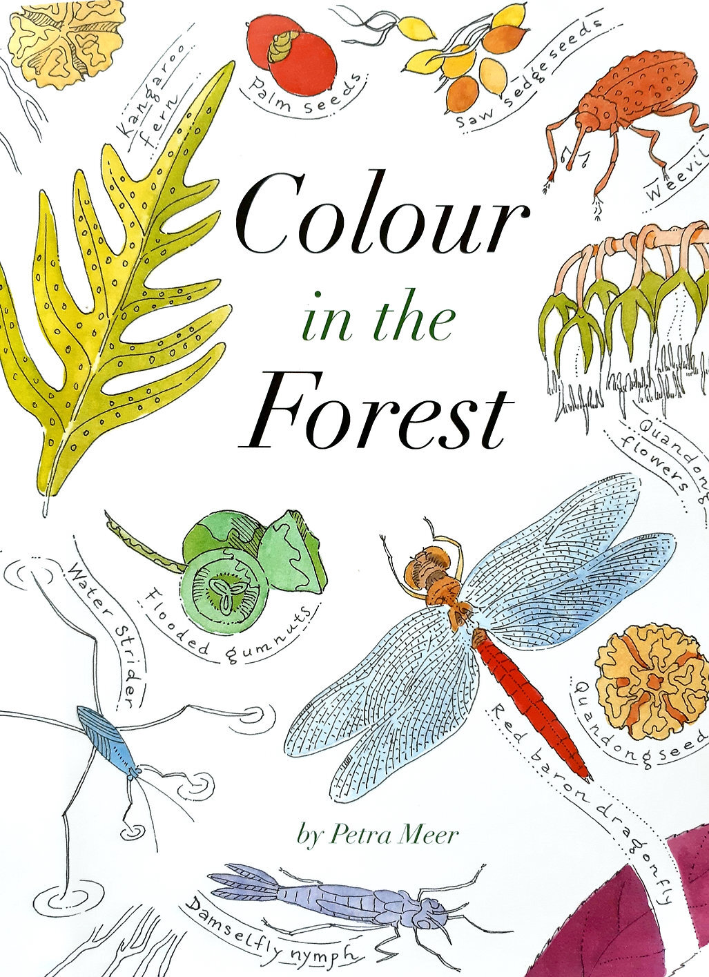 Colour In The Forest | The Maleny Bookshop 0754943666
